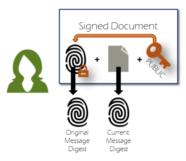 Automated Signature Technology