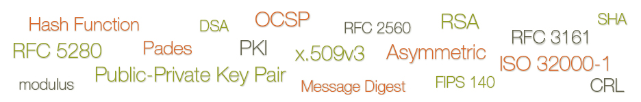 Decoding the Mystery of Digital Signature Encryption